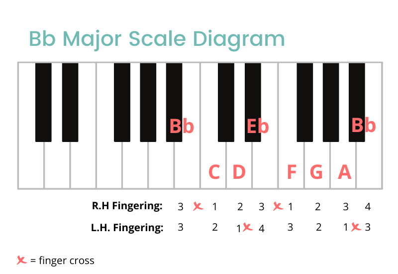 Bb Major Scale On The Piano Notes Fingerings More Bb Major Scale On The Piano Notes Fingerings More