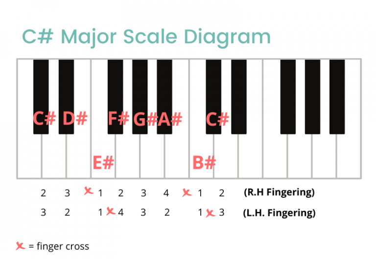 Learn About the Unique C# Major Scale